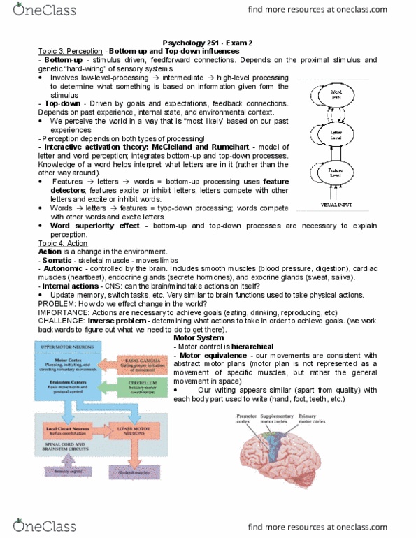PSYC 251 Study Guide - Fall 2016, Midterm - Premotor Cortex, Motor ...