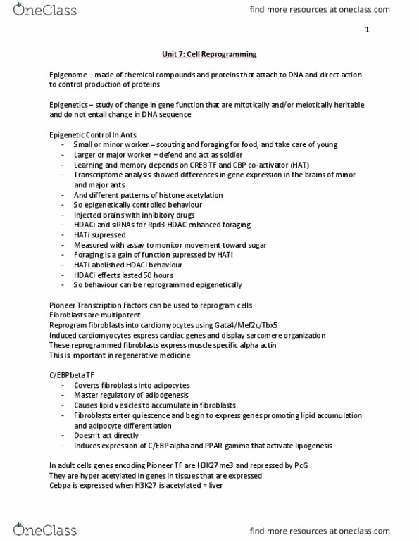 MOLBIOL 3II3 Study Guide - Winter 2017, Final - Dna Demethylation ...