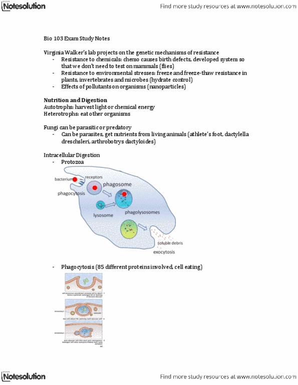 BIOL 103 Study Guide - Winter 2013, Final - Antigen, Atmospheric ...