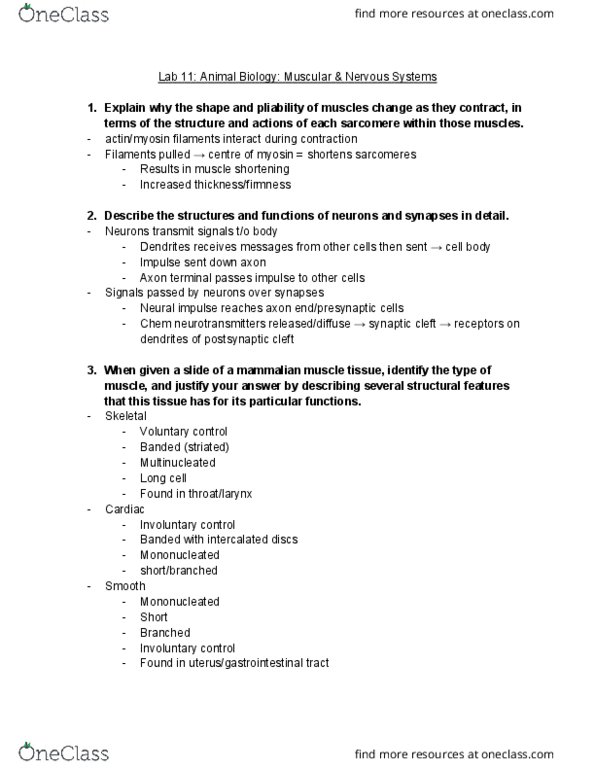 BISC 101 Study Guide - Winter 2017, Final - Osmoregulation, Resting ... BISC 101 Study Guide - Winter 2017, Final - Osmoregulation, Resting ...
