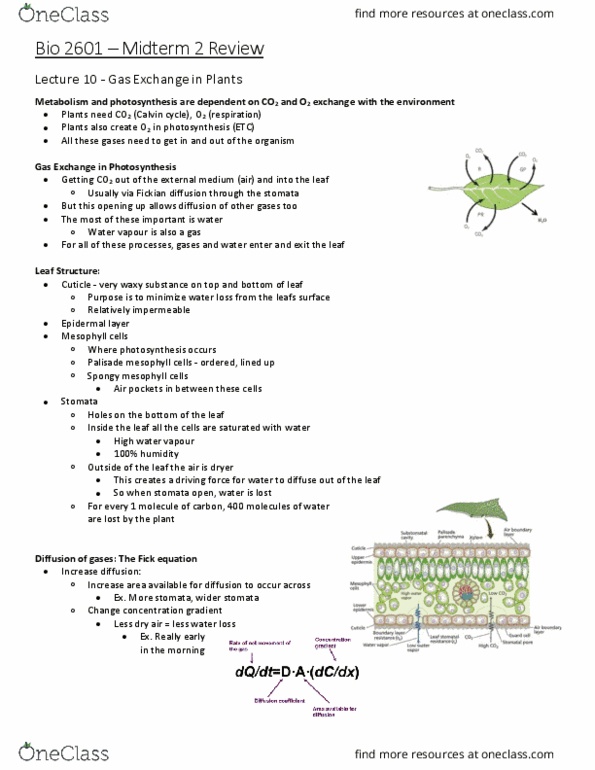 Biology 2601A/B Midterm: Midterm 2 Review - OneClass
