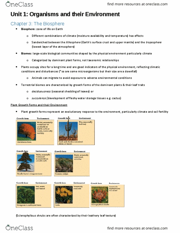 Biology 2483A Study Guide - Fall 2016, Final - Tropical Rainforest ...