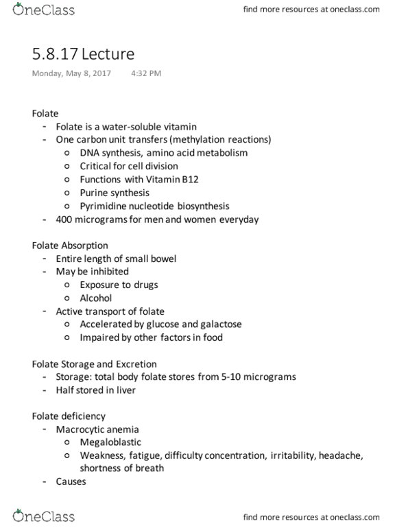 NUTR 200 Lecture Notes - Spring 2017, Lecture 12 - Pyrimidine, Purine ... NUTR 200 Lecture Notes - Spring 2017, Lecture 12 - Pyrimidine, Purine ...
