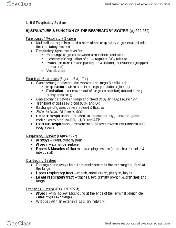 Biol273 Unit 5 Respiratory Systemdocx Oneclass