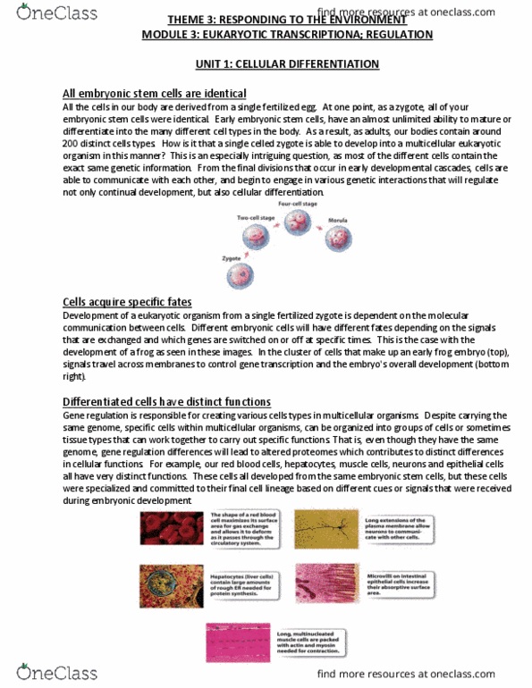 BIOLOGY 1A03 Study Guide - Spring 2018, Final - Embryonic Stem Cell ...