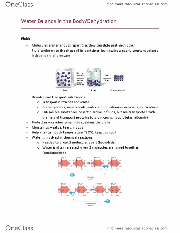 NUTR 1010 Study Guide - Winter 2018, Final - Chylomicron, Lipoprotein ... NUTR 1010 Study Guide - Winter 2018, Final - Chylomicron, Lipoprotein ...