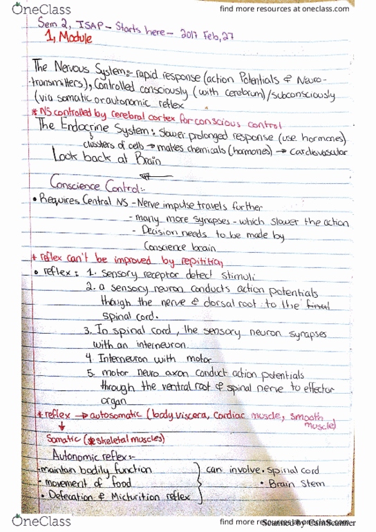 Class 1 Homework Help - BRI’s Video Resources