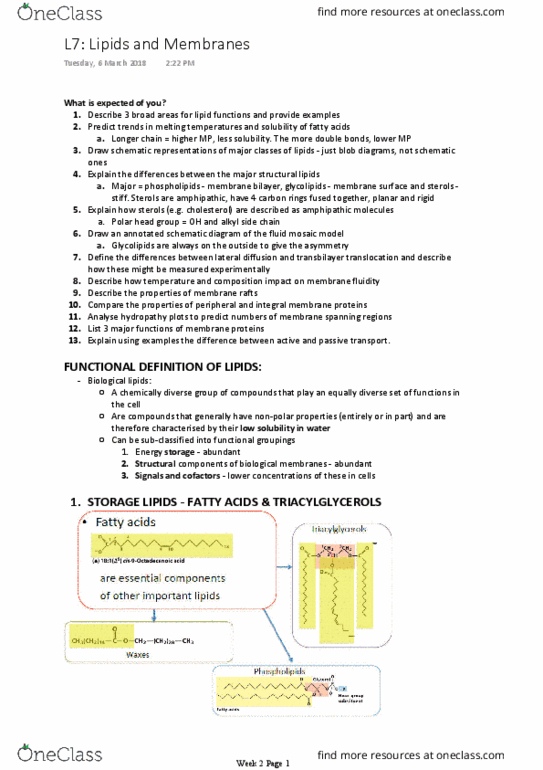 Biom20001 Lecture Notes Spring 2018 Lecture 7 Membrane Lipids