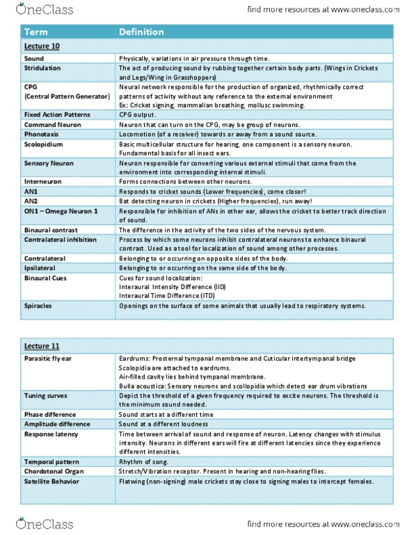 BIOL 306 Study Guide - Fall 2013, Midterm - Midbrain, Electric Field ...