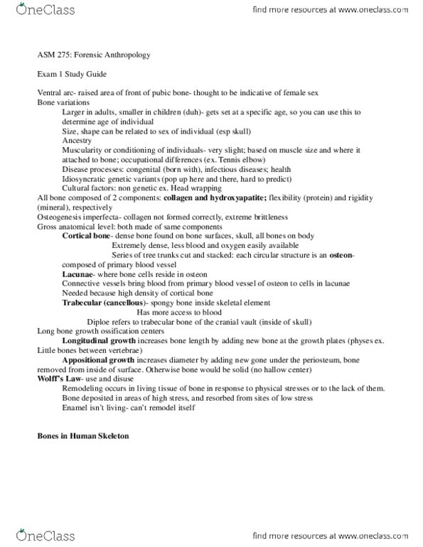 ASM 275 Study Guide - Fall 2013, Midterm - Magnetometer, Ischium, Osteology