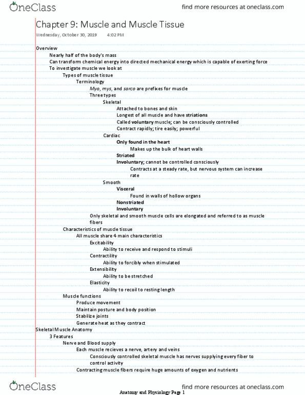 BIOL 135 Lecture Notes - Fall 2019, Lecture 7 - Skeletal Muscle ... BIOL 135 Lecture Notes - Fall 2019, Lecture 7 - Skeletal Muscle ...