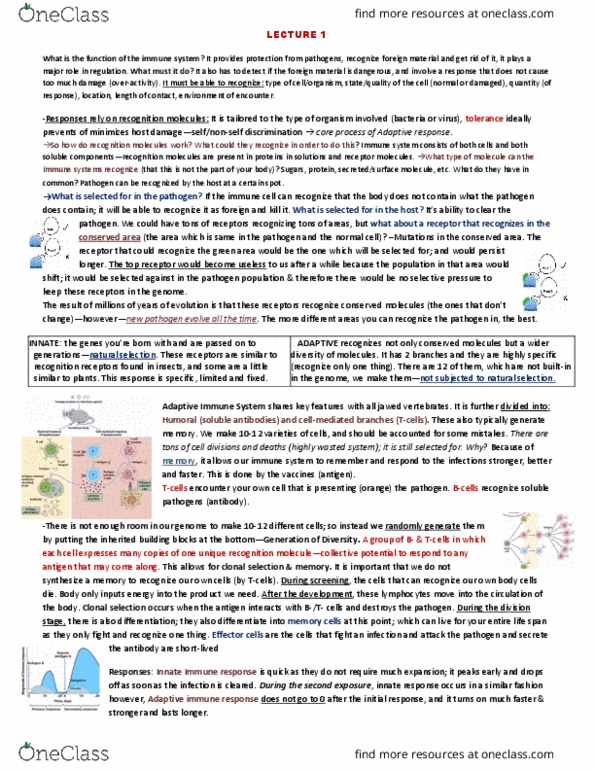 Biol 3120 Midterm Midterm 1 Oneclass