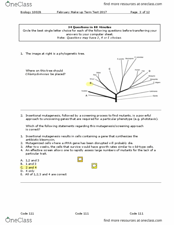 Biology 1002B Study Guide - Winter 2019, Midterm - Insertional ... Biology 1002B Study Guide - Winter 2019, Midterm - Insertional ...