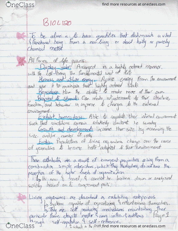 Biol 120 Midterm Biol120 Midterm 1 From Cell Components To Origin Of