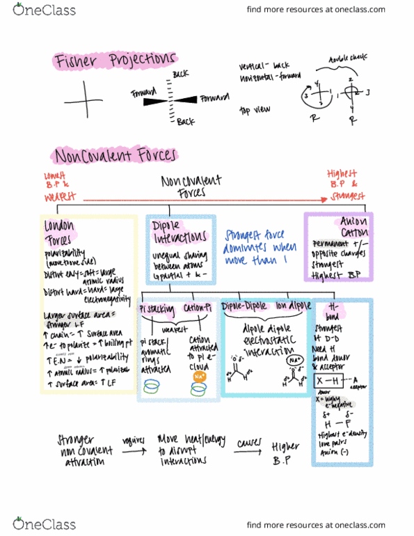 CHEM 14C Study Guide - Spring , Midterm - Nonchalant, Atomic Radius, Ion