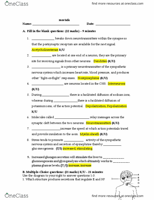BIOL 1010U Quiz: SBI4U_Homeostasis_Testdocx - OneClass