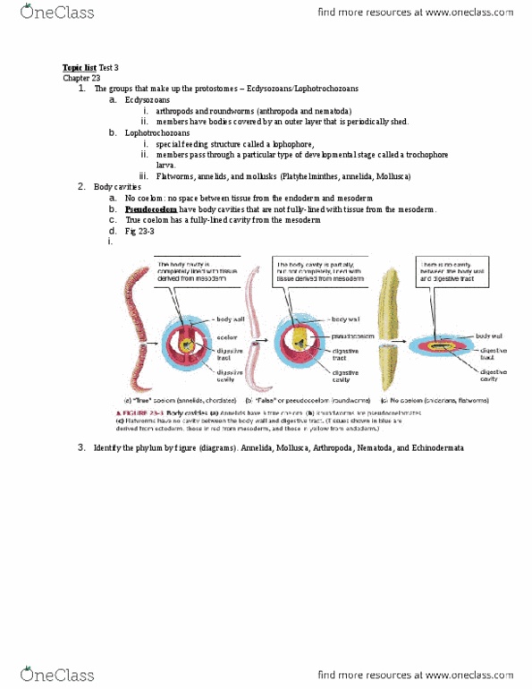 BIOL 1002 Study Guide - Winter 2014, Midterm - Nematode, Mollusca ... BIOL 1002 Study Guide - Winter 2014, Midterm - Nematode, Mollusca ...