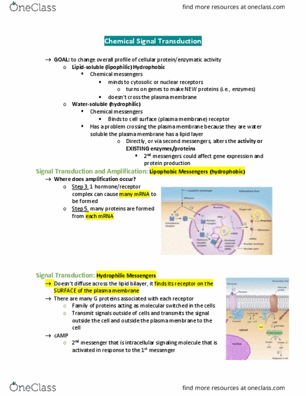 Biol 1080 Lecture Notes Spring 2022 Lecture 8 Lipid Bilayer Cell