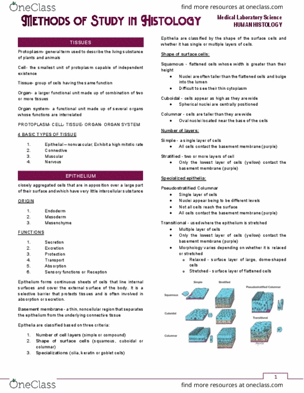 MLS 2B Lecture Notes - Spring 2022, Lecture 2 - Pseudostratified ...