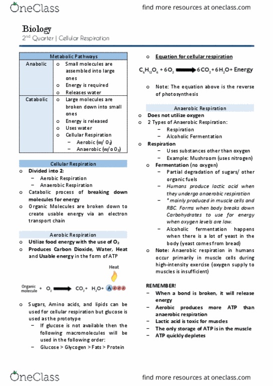 BIOCHEMISTRY Study Guide - Fall 2022, quiz - Cellular Respiration ...