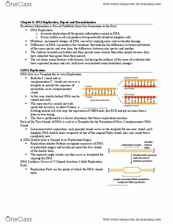 BIO 2600 Study Guide - Winter 2023, - Dna Replication, Semiconservative ...