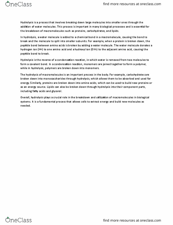 Bsc 2010c Lecture Notes Spring 2023 Lecture 1 Hydrolysis Covalent Bond Macromolecule