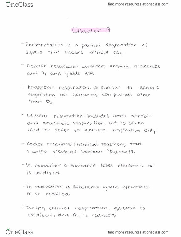 BSC2010 Study Guide - Spring 2023, - Cellular Respiration, Organic ...