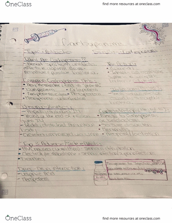 NURS 2080 : Carbapenems - OneClass