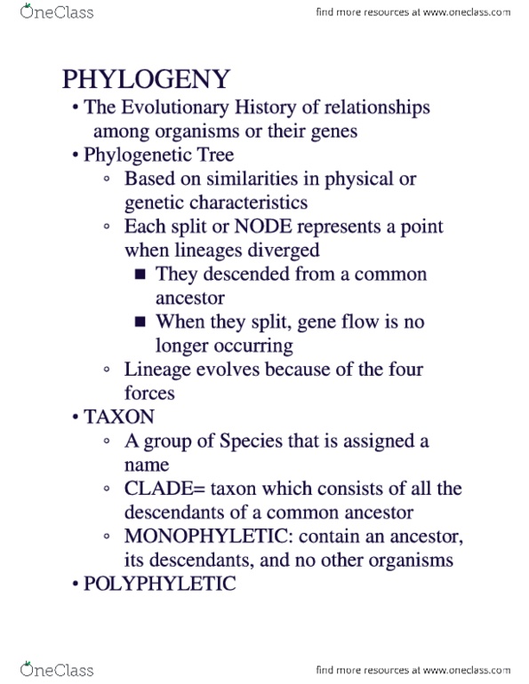 Biol 102 Notes On Phylogeny Got 94 In The Course Oneclass
