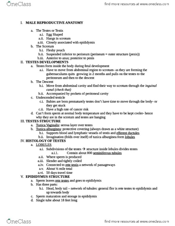BIOL 110 Study Guide - Spring 2012, - Peritoneum, Vasectomy, Vas Deferens