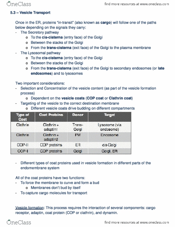 BIOL 200 : 5.3 - Transport Vesicle (detailed notes) - OneClass