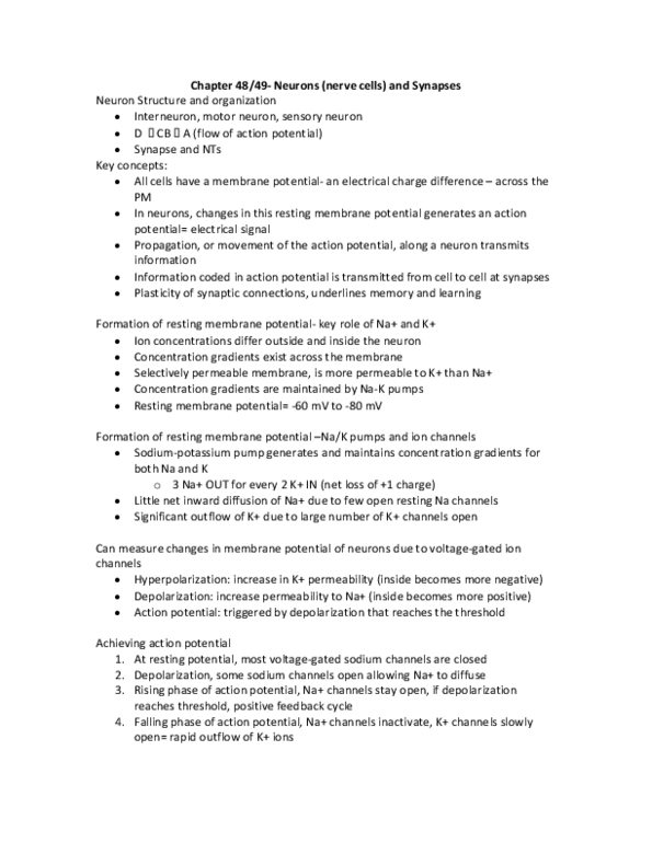 BISC 101 : Neurons and Synapses - OneClass