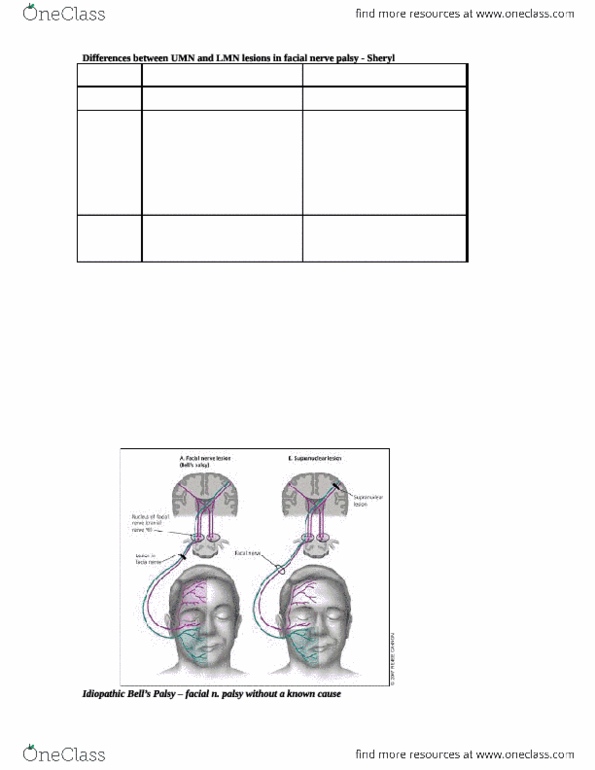 Med1011 Differences Between Umn And Lmn Lesions In Facial Nerve Palsy Oneclass