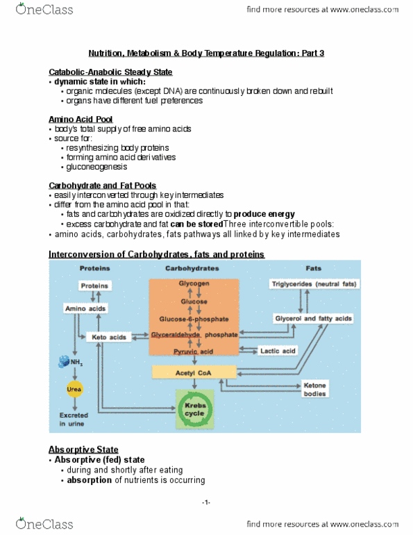 Anp 1107 Midterm Anp1107b Miderm 2 Notespdf Oneclass