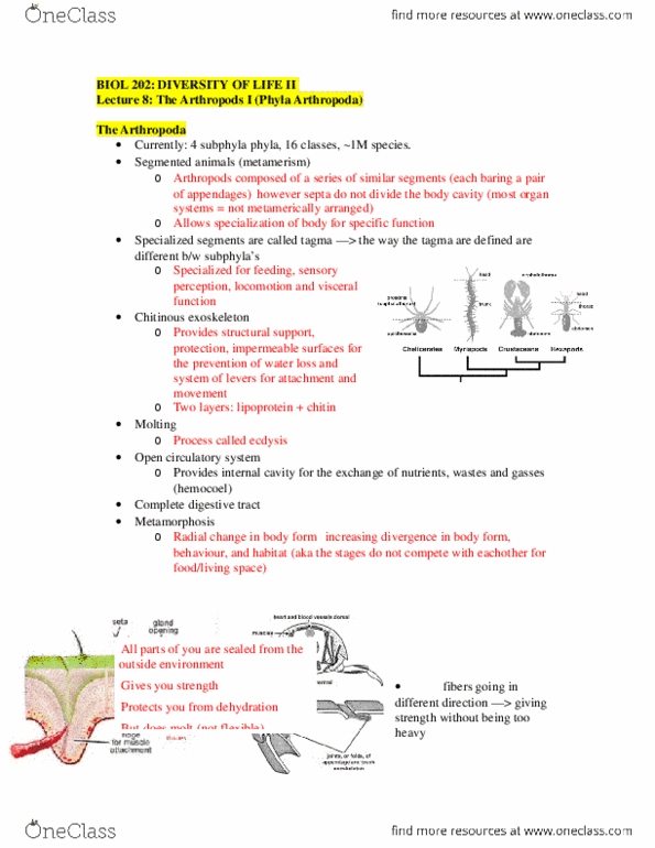 Biol 202 Midterm Biol 202 2nd Half For Midtermdocx Oneclass