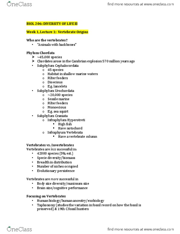 BIOL 202 Study Guide - Winter 2015, Final - Spiral Valve, Convergent ...