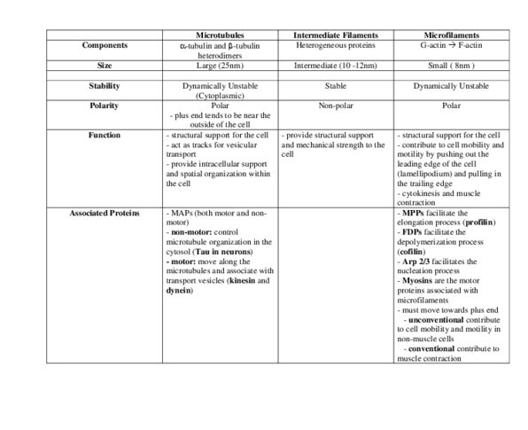 BIOL 1090 : Cytoskeleton Comparison Chart - OneClass
