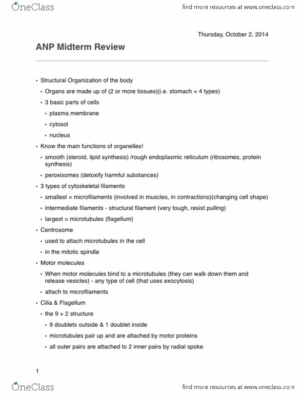 Anp 1105 Midterm Midterm 1 Exam Review Oneclass