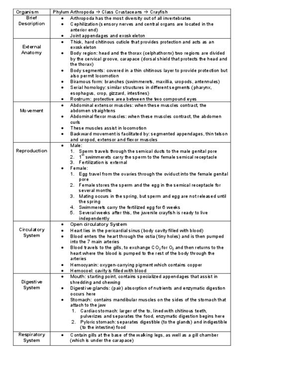 BIOL 111 Study Guide - Fall 2011, Final - Nephridiopore, Ventral Nerve ...
