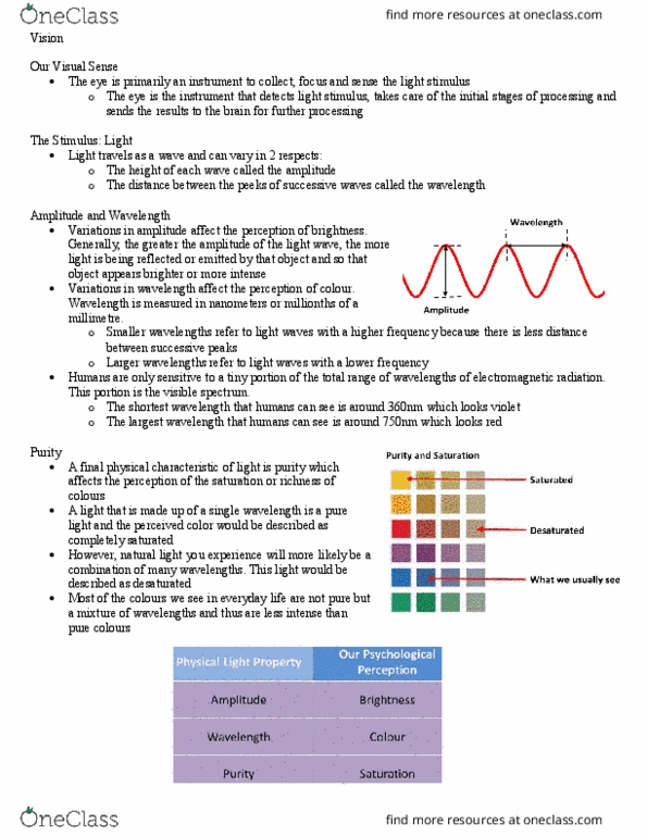 PSYCH 1XX3 Study Guide - Winter 2014, Final - Visual Acuity, Optic Disc ...