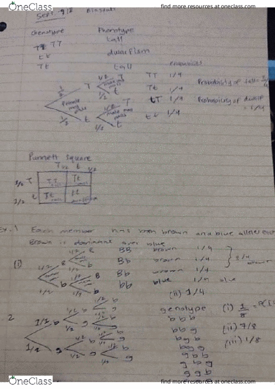 Class Notes For MAT 2379 At University Of Ottawa UOTTAWA 
