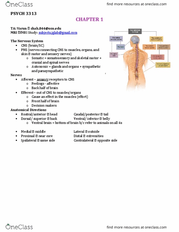 PSYCH 3313 Final: Psych 3313 Class Notes - OneClass